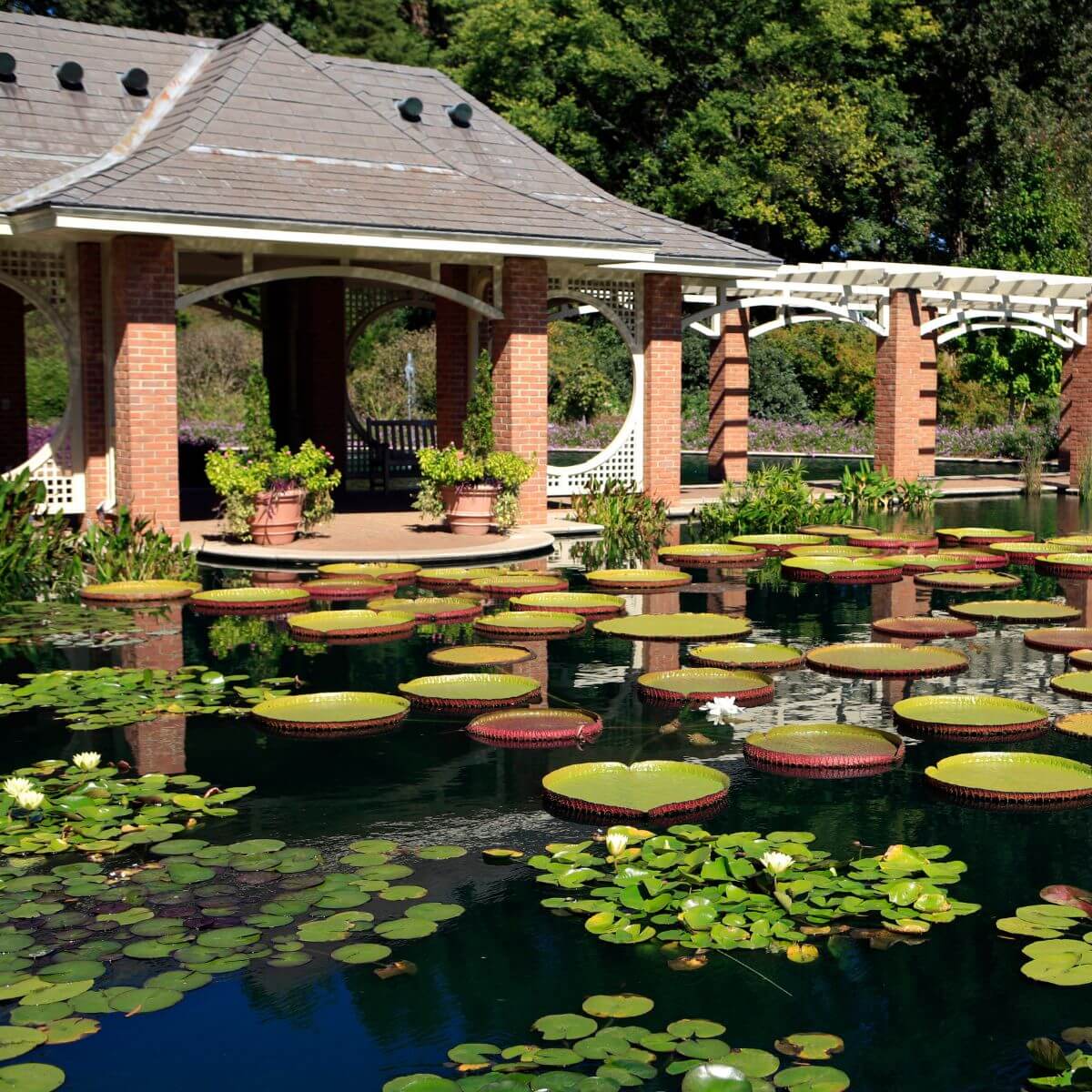 10 Best Things To Do In Alabama